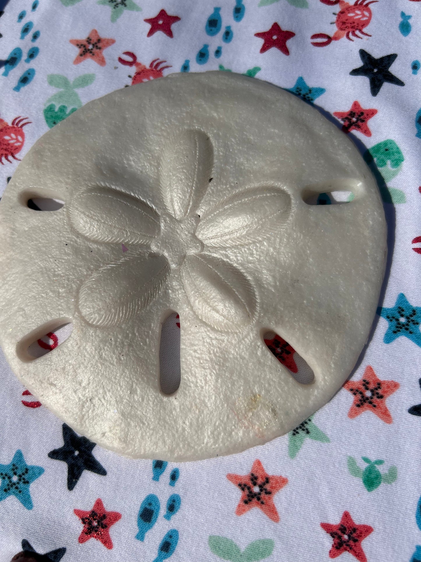 Silicone Shells ready to ship – Haley Mermaid LLC